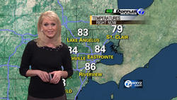 Hally Vogel - WXYZ 7 Detroit - TvNewsCaps